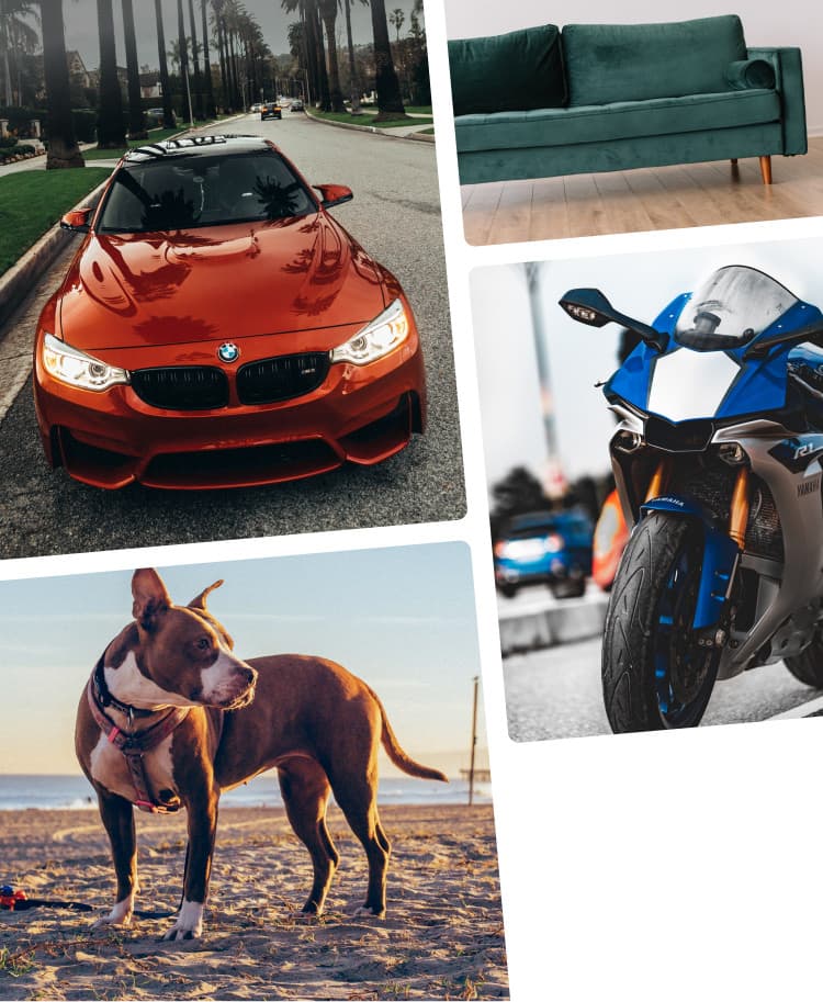 CitizenShipper - Get Shipping Quotes For Pets, Motorcycles, Cars, Boats ...