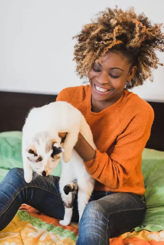 Cat Transportation | Safe & Trustworthy | CitizenShipper