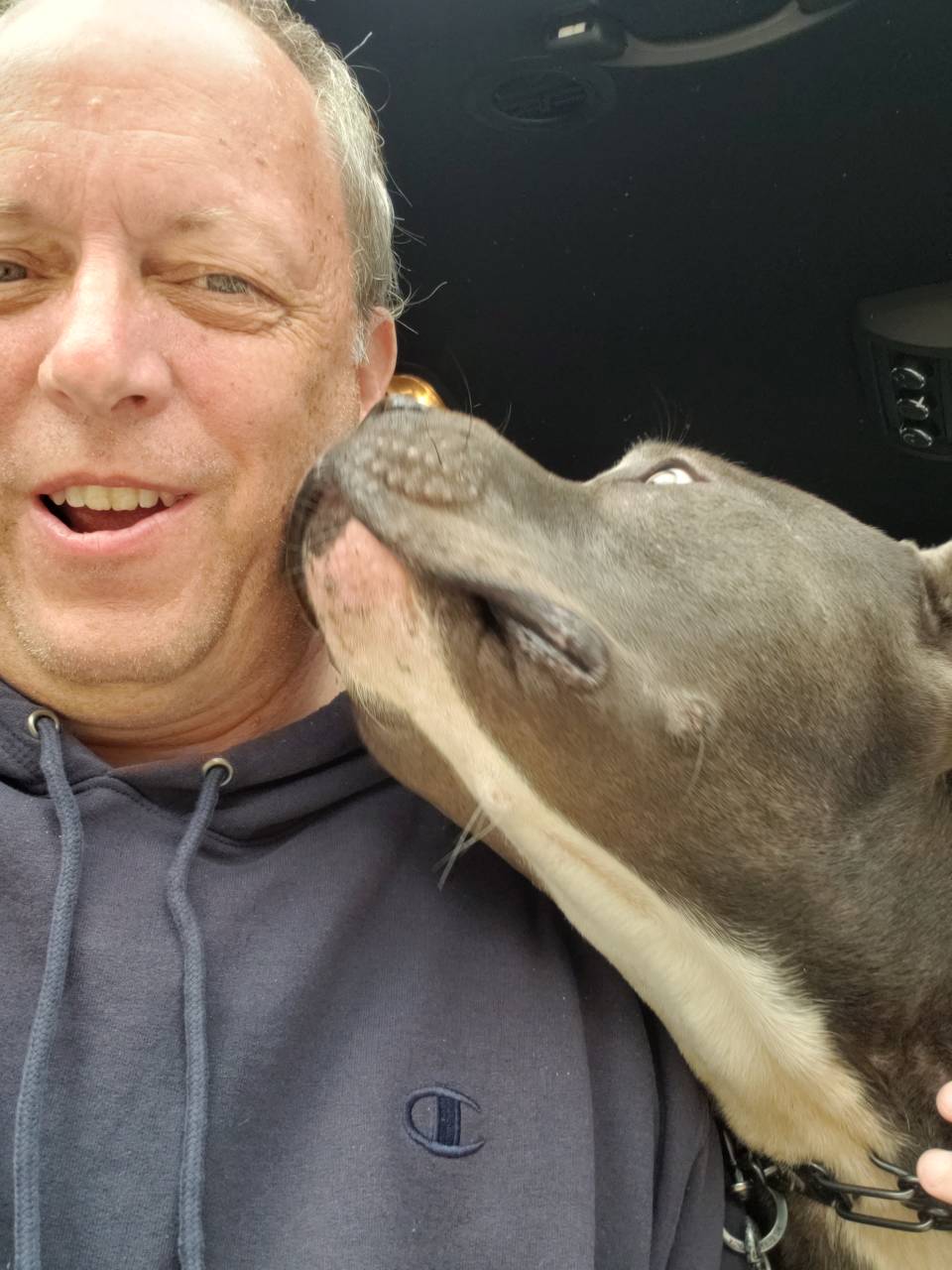 Find Verified Shipping Service Providers | CitizenShipper