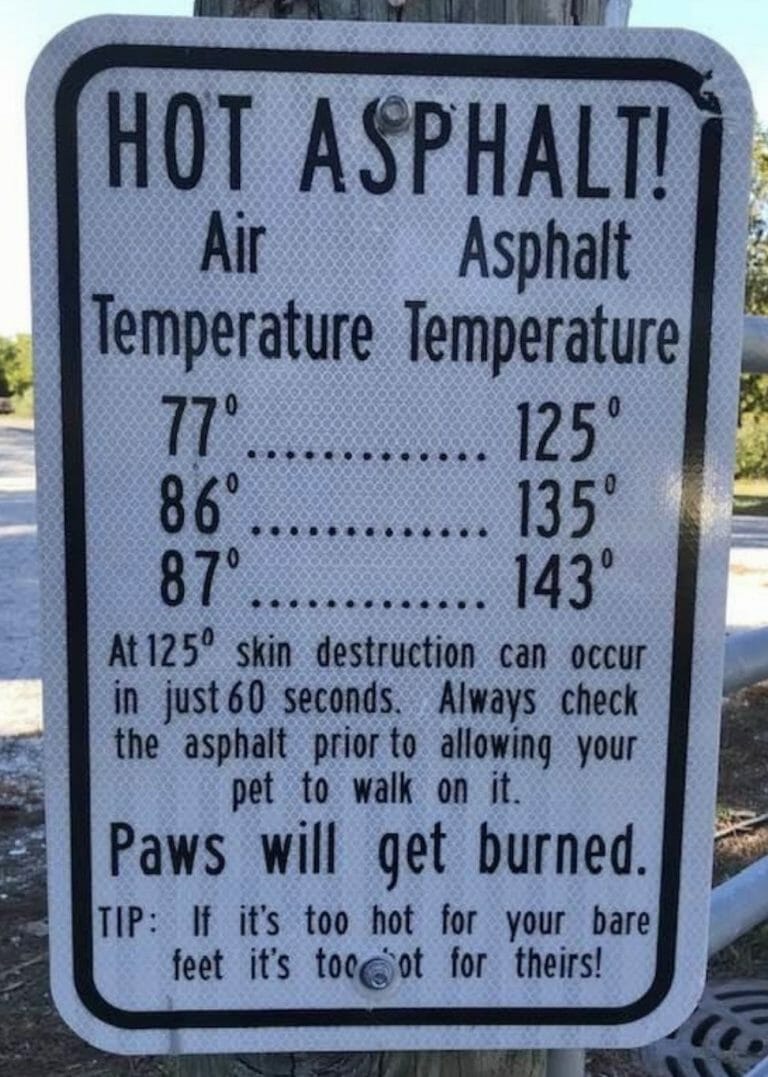 Recognizing and Preventing Heatstroke in Animals