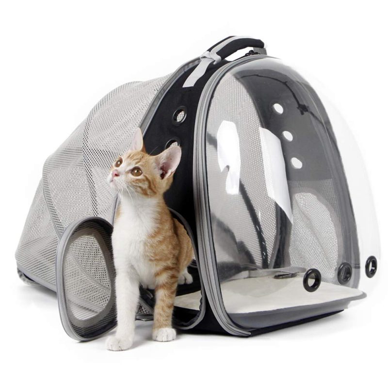 9 Best Cat Backpacks for 2026: Have Your Kitty Travel in Style