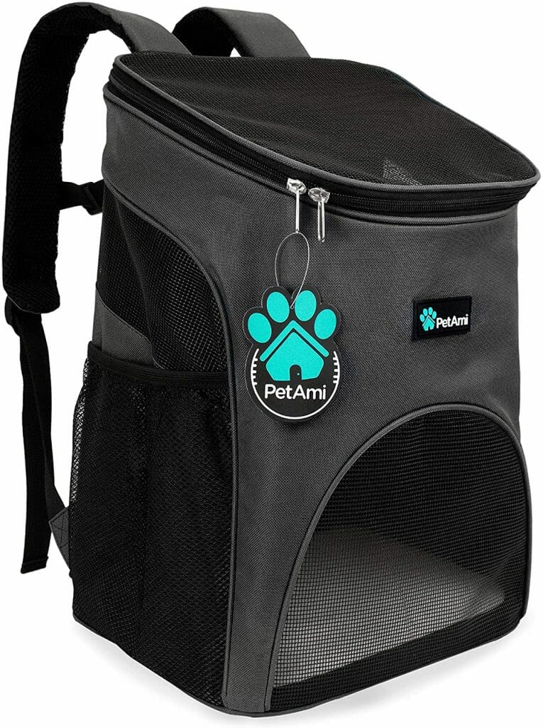 9 Best Cat Backpacks for 2025: Have Your Kitty Travel in Style