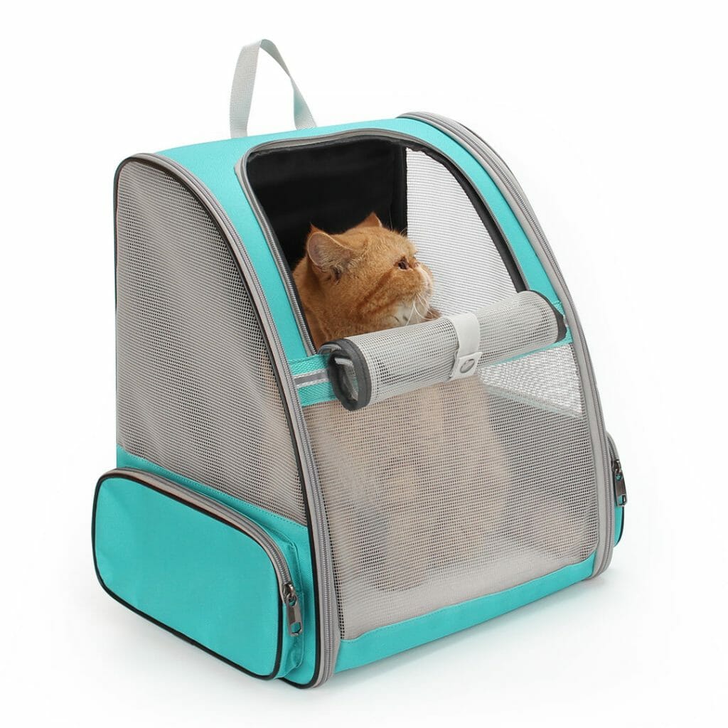 9 Best Cat Backpacks for 2025: Have Your Kitty Travel in Style