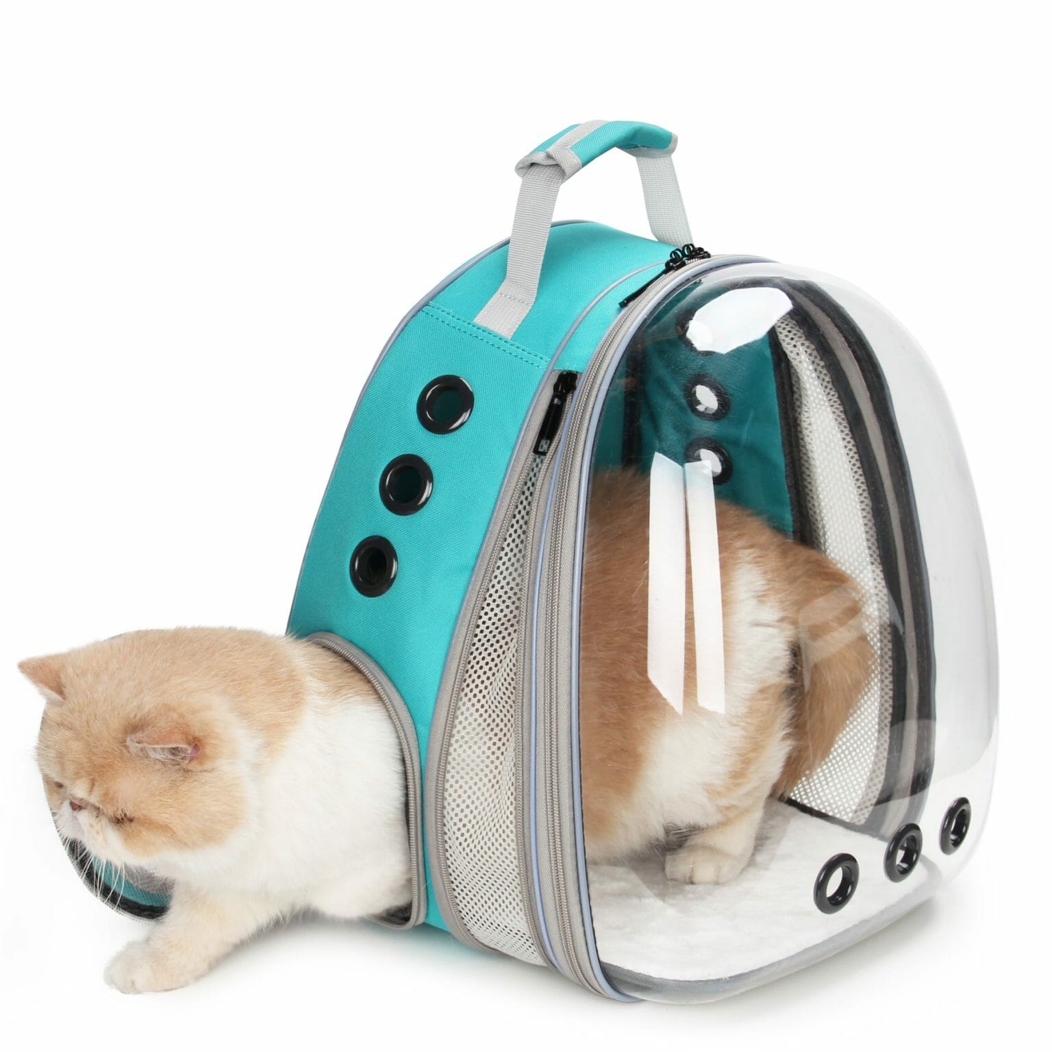 9 Best Cat Backpacks for 2025: Have Your Kitty Travel in Style