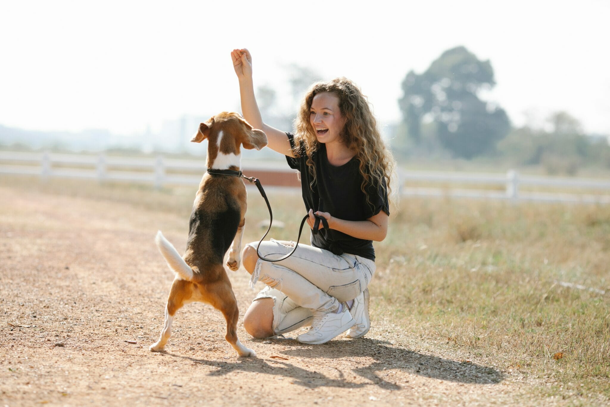 Six Tips For a Long Distance Move with Dogs