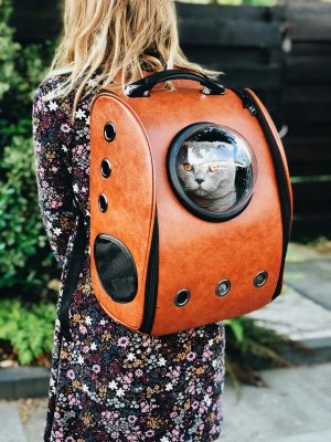 9 Best Cat Backpacks for 2026: Have Your Kitty Travel in Style
