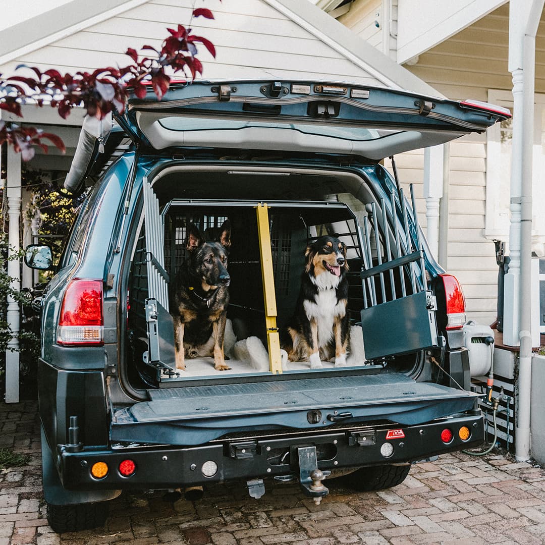 How to Choose the Right Pet Cargo Crate