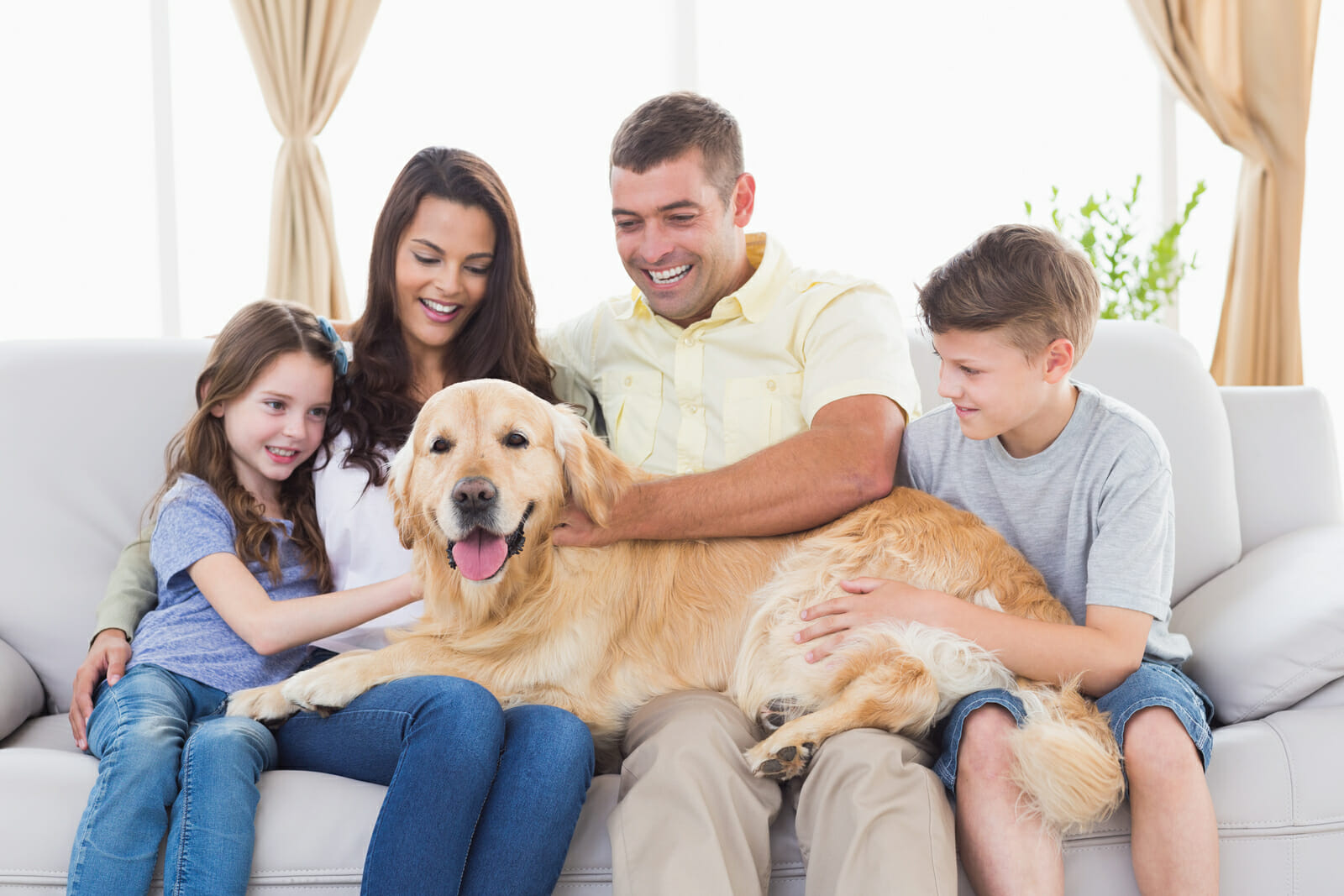Dogs Making a Difference for Your Family