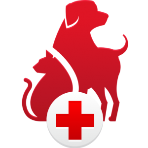 8 Simple Pet First Aid Tips