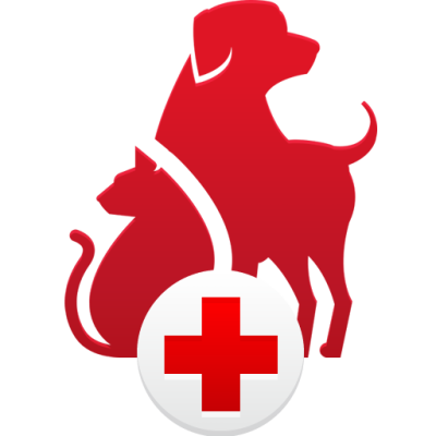 8 Simple Pet First Aid Tips
