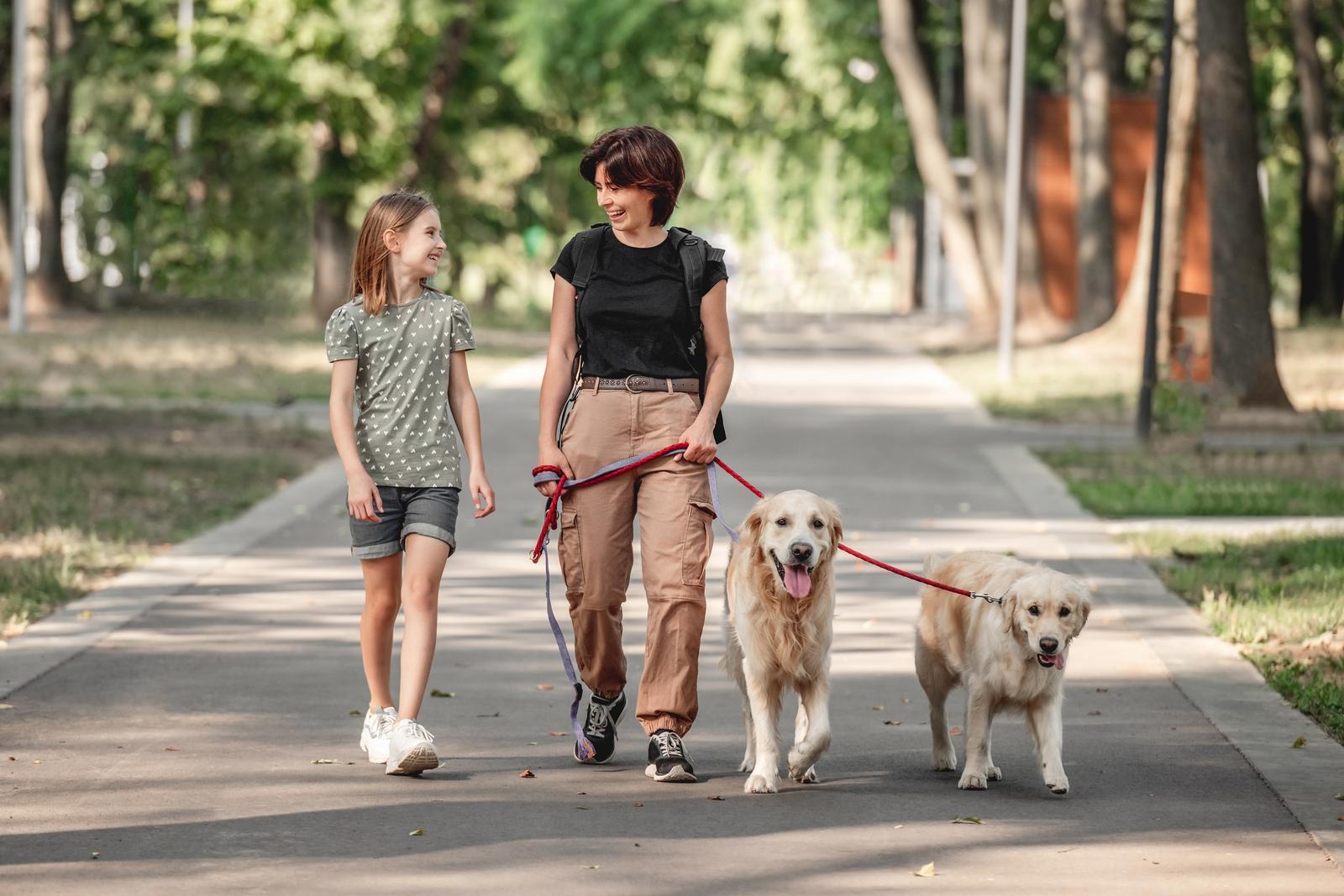 Explaining AKC Sporting Group Dogs - CitizenShipper Blog