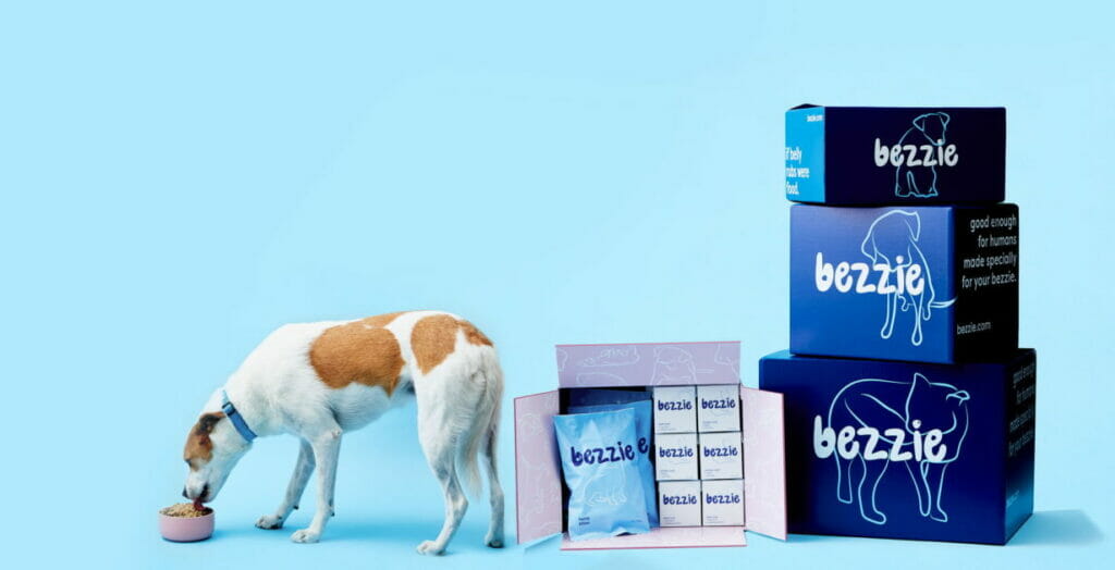 22 Awesome Dog Subscription Boxes For Your Favorite Furry Friends