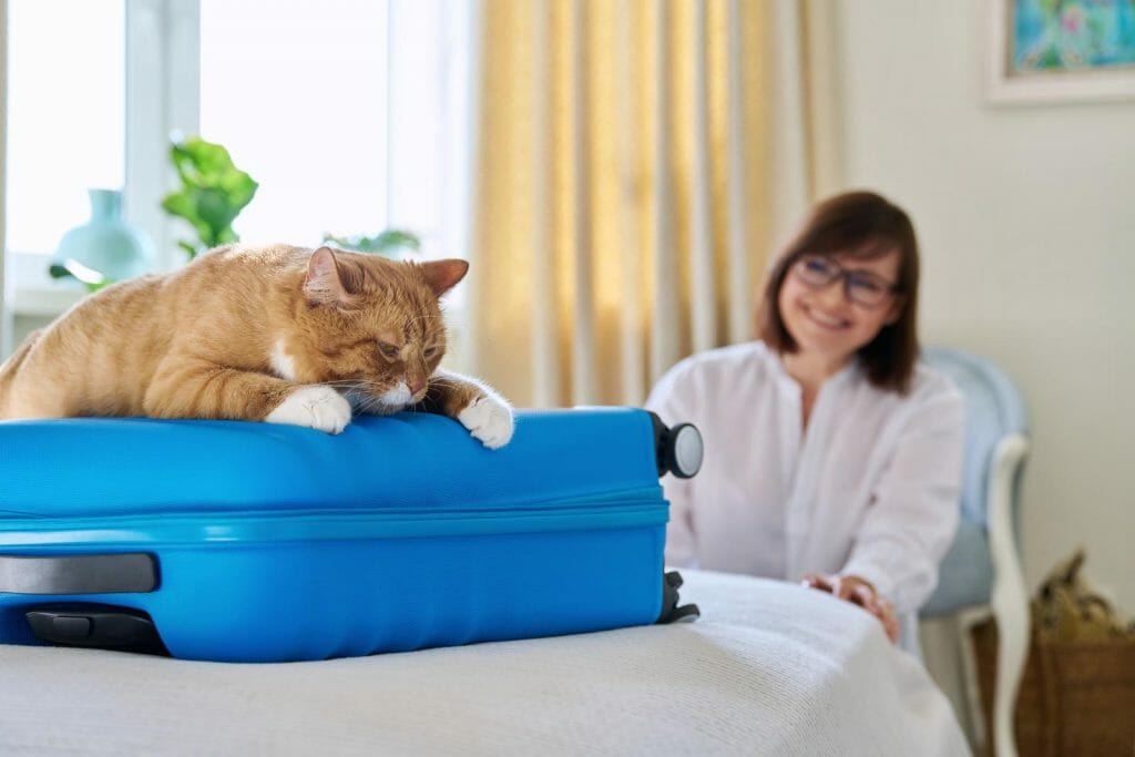 Tips for Transporting Your Cat
