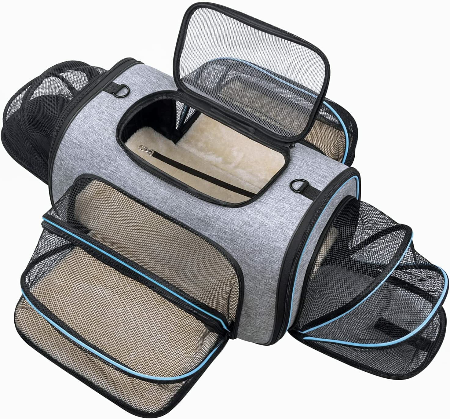 What to Know About FedEx Pet Shipping - CitizenShipper Blog