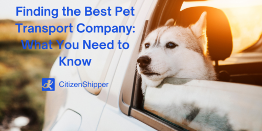 Finding the Best Pet Transport Company - CitizenShipper Blog