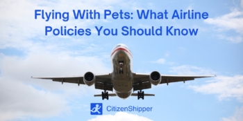 Flying With Pets: What Airline Policies You Should Know