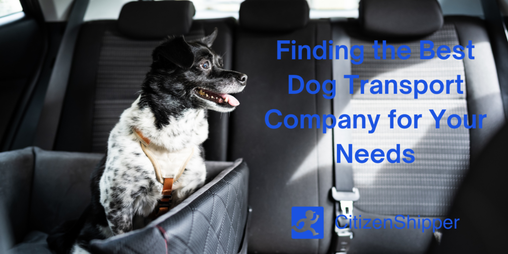 Finding the Best Dog Transport Company for Your Needs