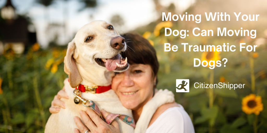 How Long Does It Take a Dog to Adjust to a Move?