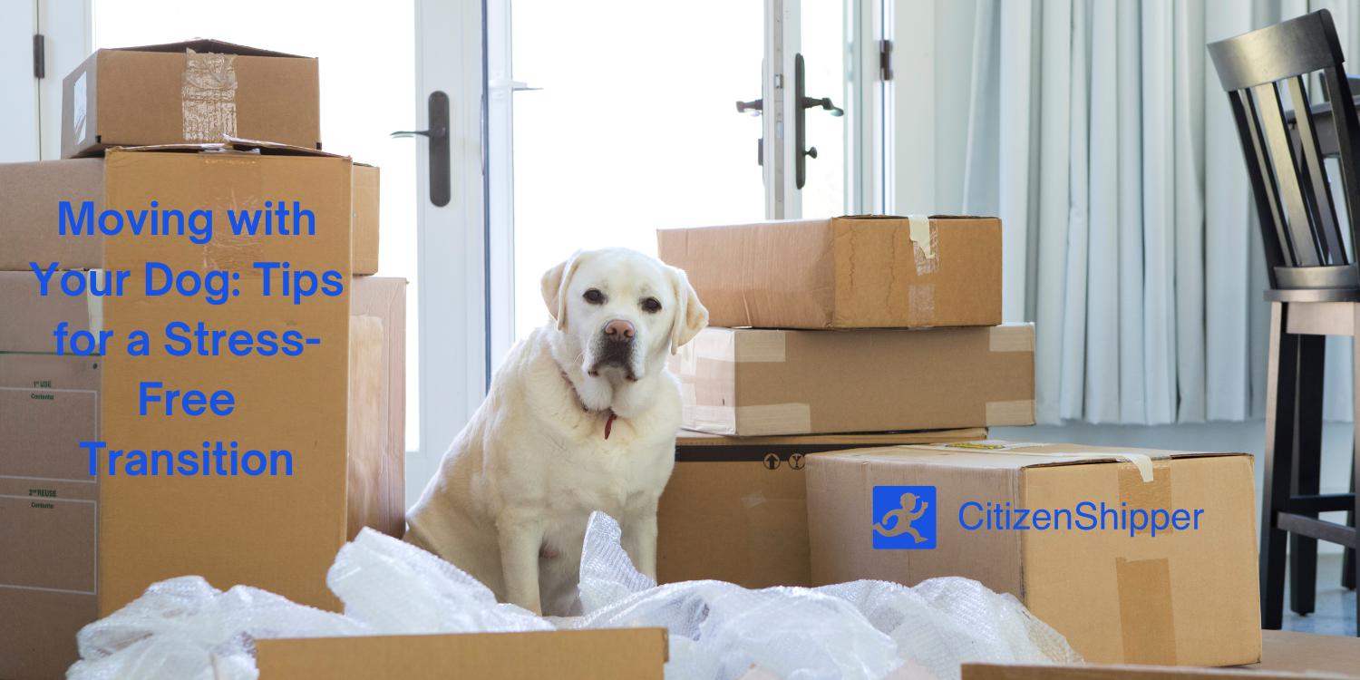 Tips for Stress-Free Moving with Your Dog - CitizenShipper Blog