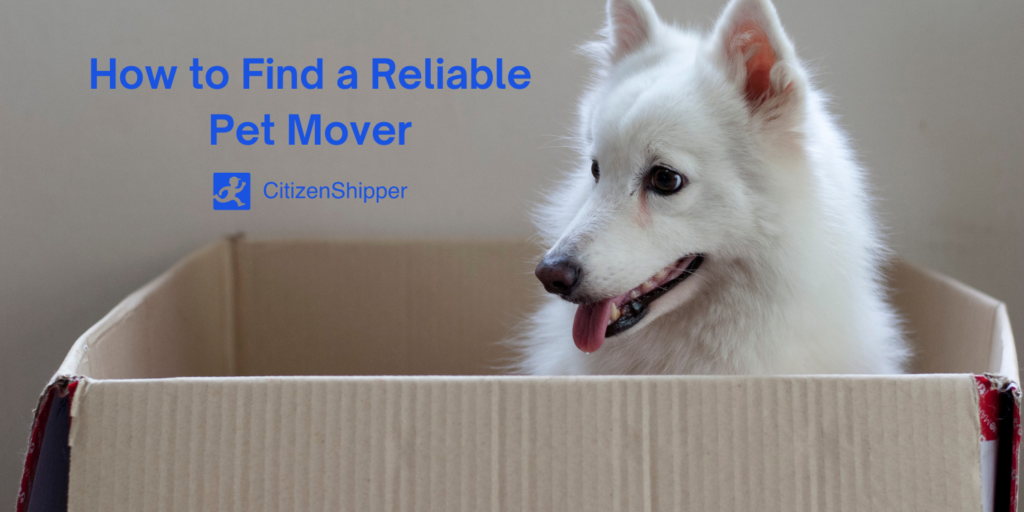 How to Find a Reliable Pet Mover