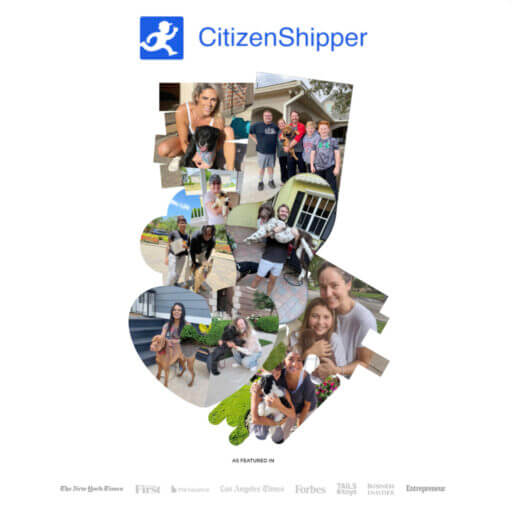 6 Best Dog Shipping Companies in 2026