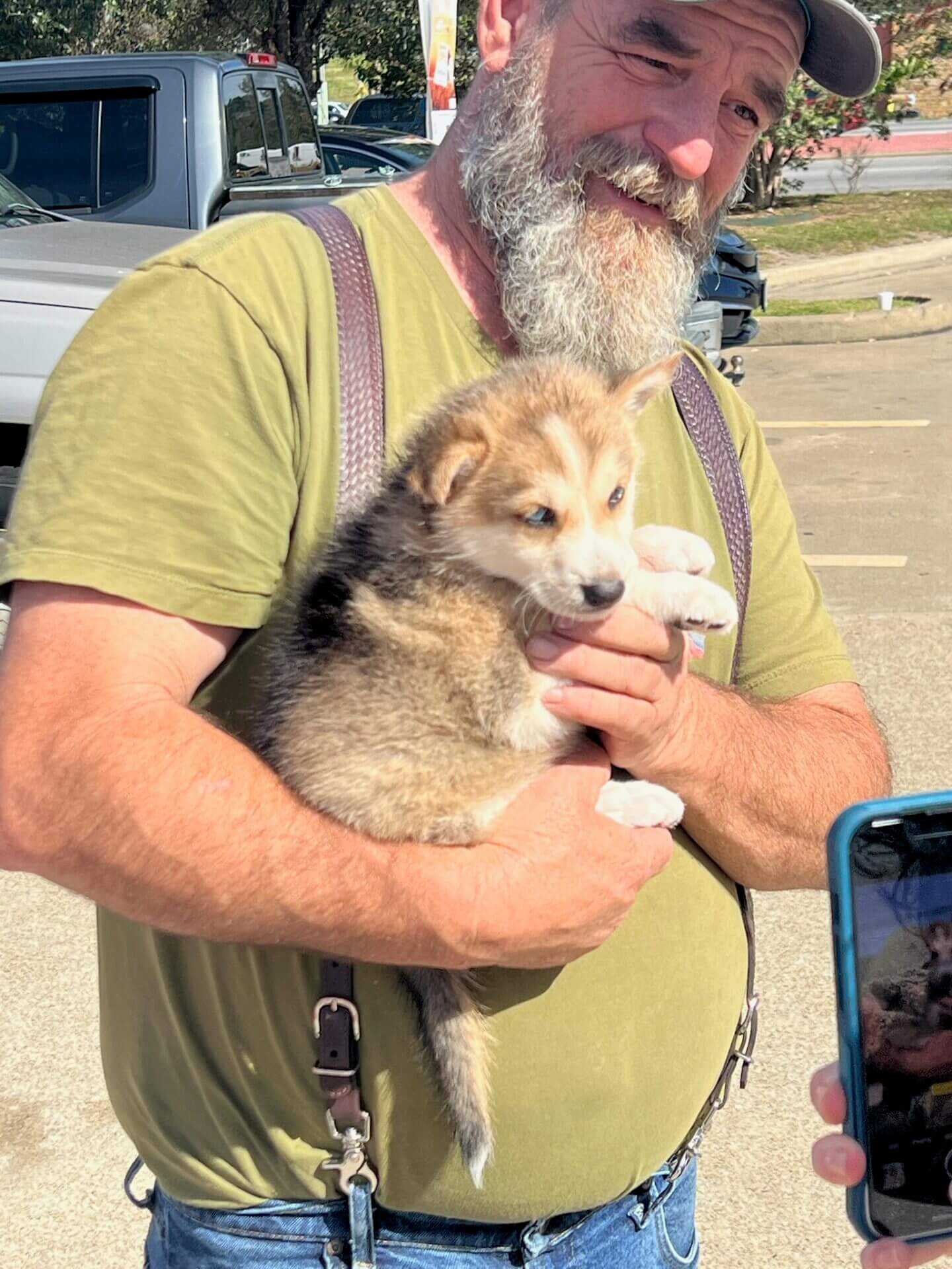 Getting Reliable Puppy Transport Service in the USA