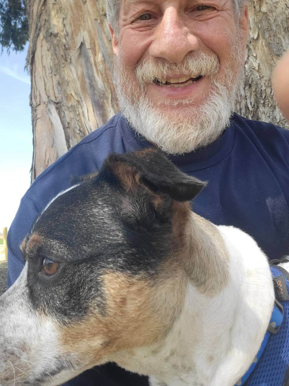 From Air Force to Animal Transport: A Driver's Unique Journey on ...