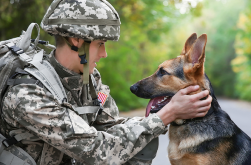 Military PCS Pet Relocation Costs and Policies in 2026