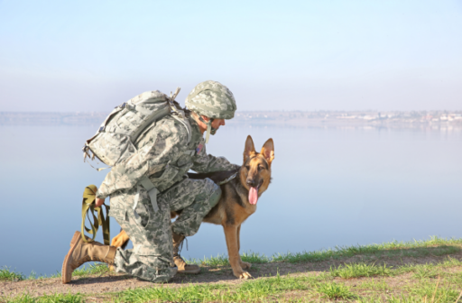 Military Pet Relocation Costs & PCS Reimbursement (2026 Guide)