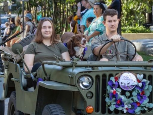 Every Step To Take When Preparing for a Military Pet Move