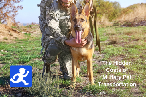 Why My Dog Can't Fly Free: The Hidden Costs of Transporting Military Pets