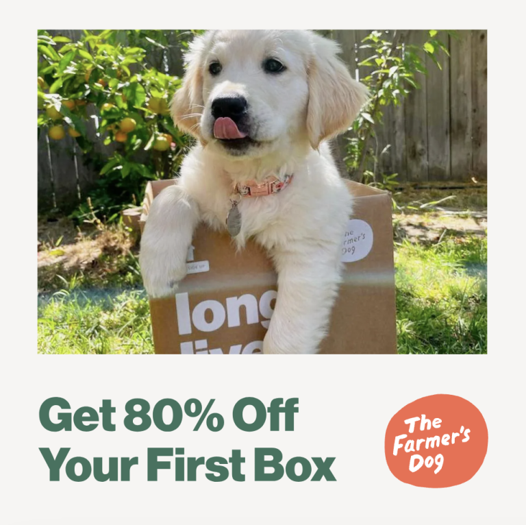 Best Dog Food Brands in 2026
